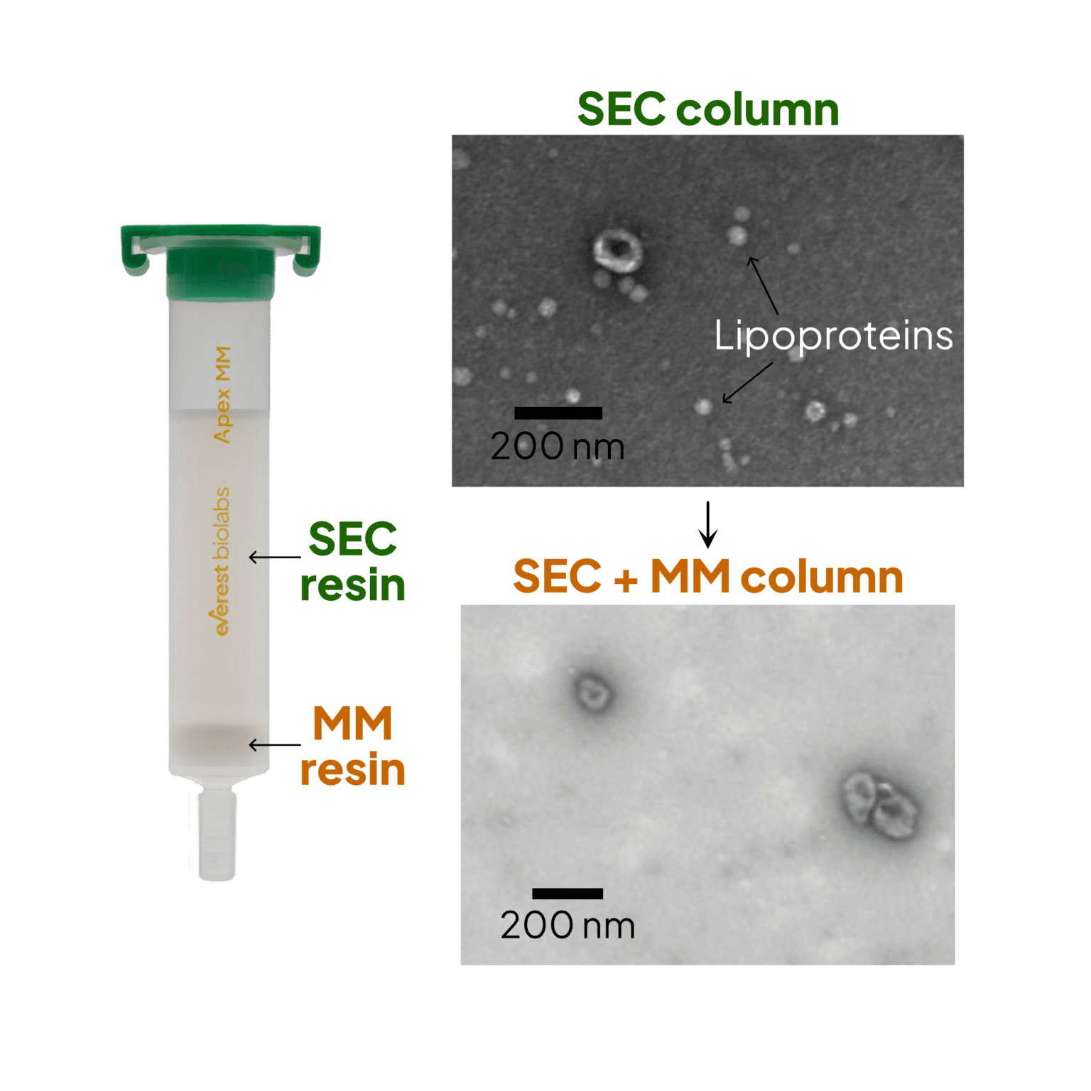 Apex SEC Columns | Everest Biolabs